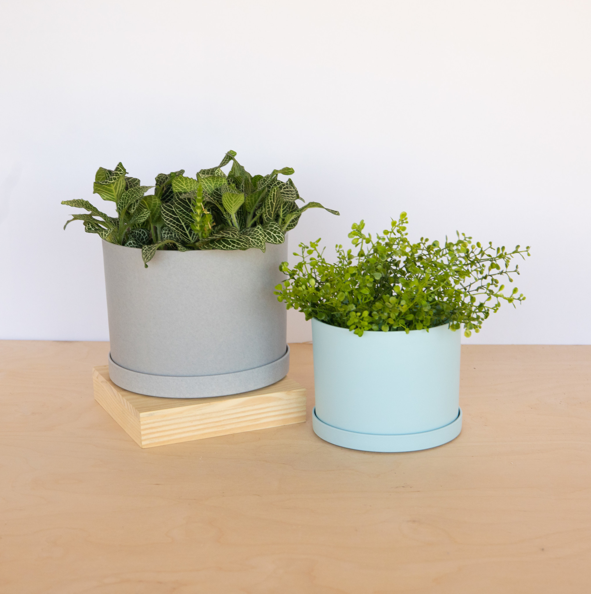 Mathers Drop-In Planter - Bloem Living