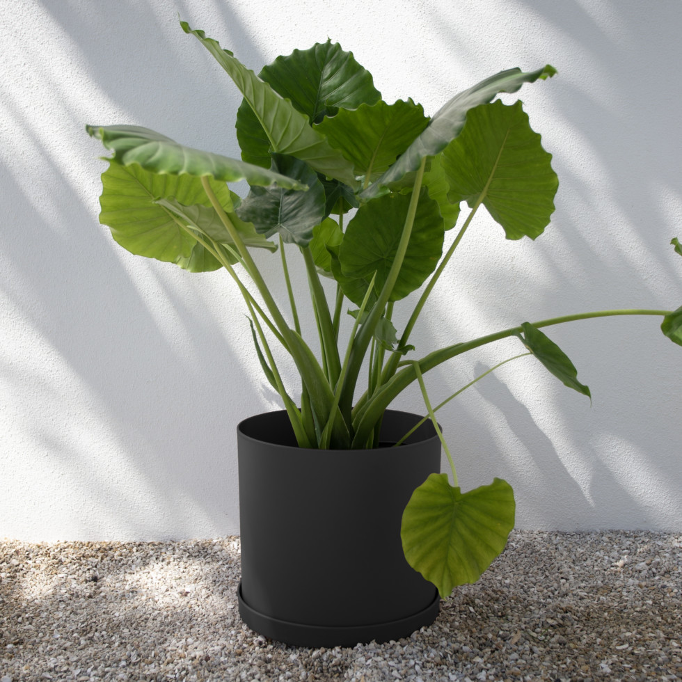 Mathers Drop-In Planter - Bloem Living