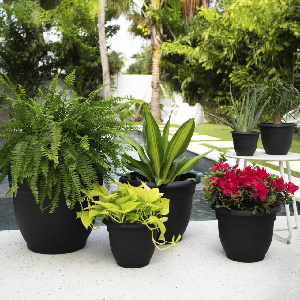 Ariana Planter - Bloem Living