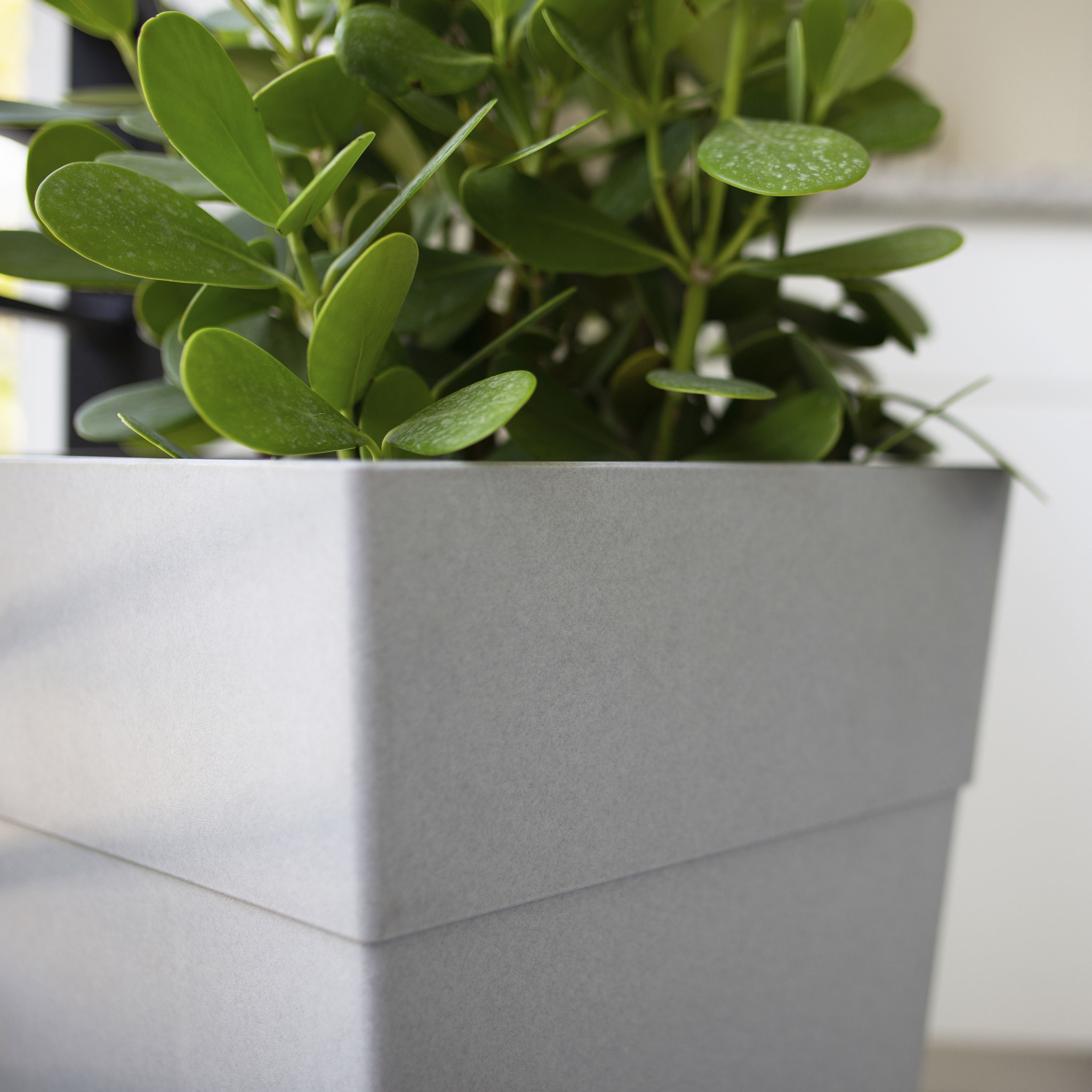 Tall Square Planter - Bloem Living - Durable & Lightweight