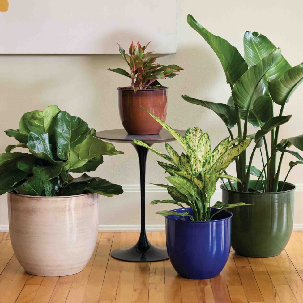 Canyon Planter - Bloem Living