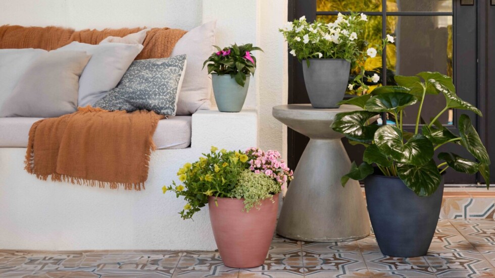 Homepage - Bloem Living